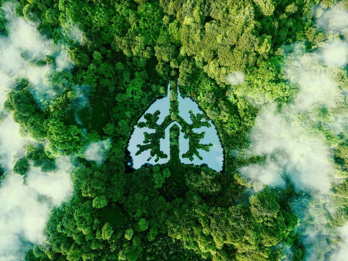 Air pollutants: Types, sources and impact on health & nature