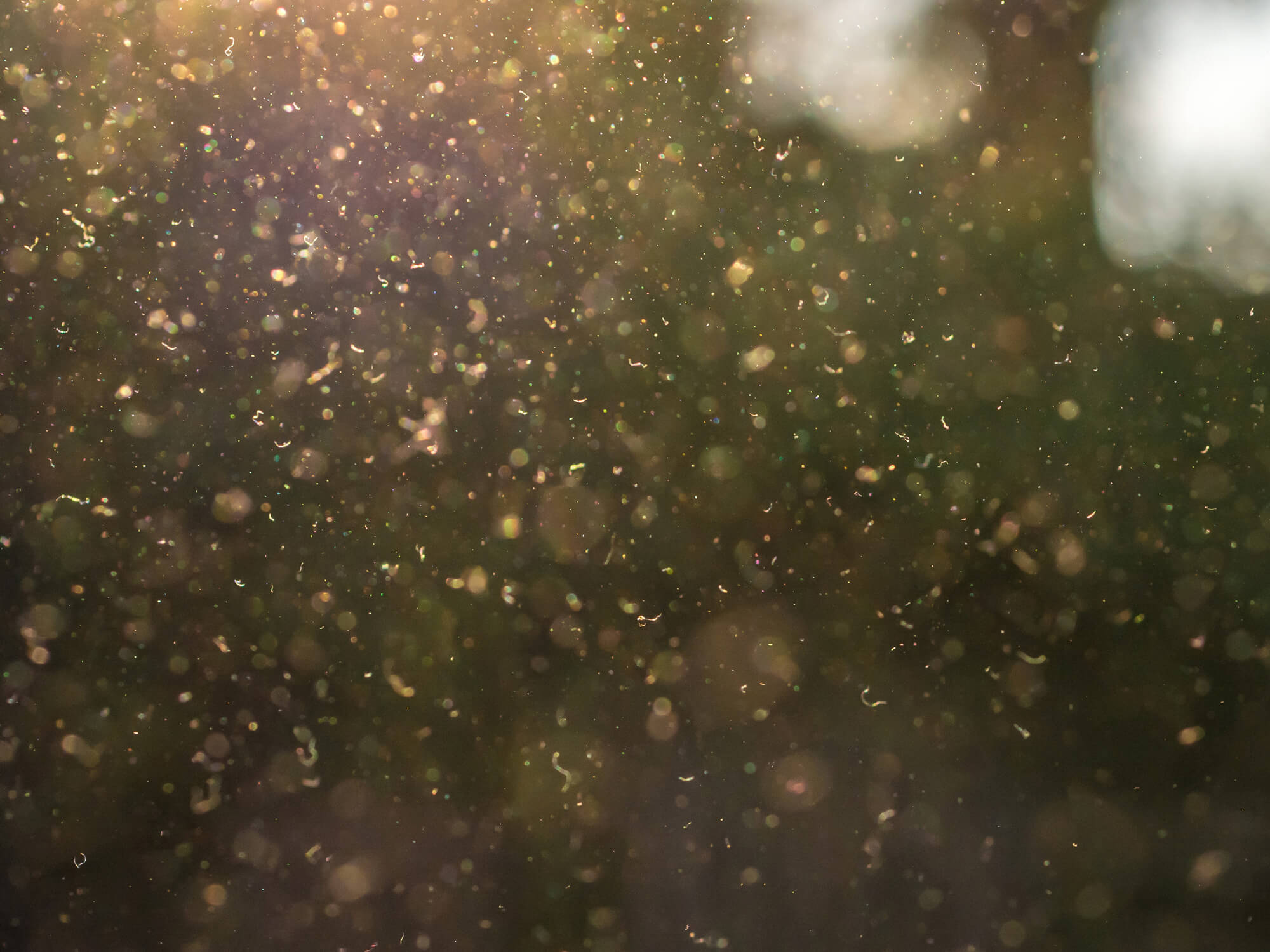 Das ABC des Feinstaubs: Bedeutung, Quellen & Auswirkungen