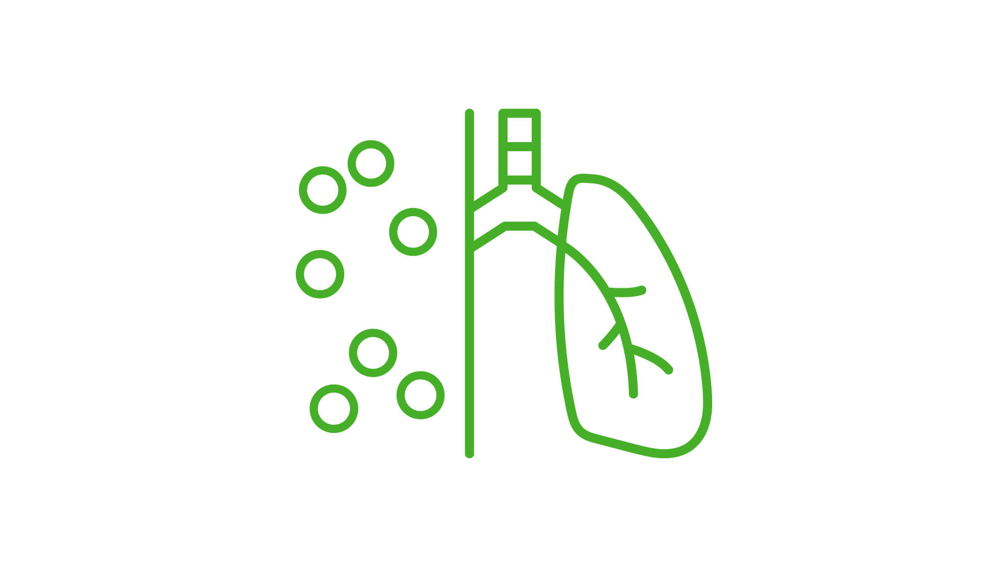ABCs of particulate matter explained