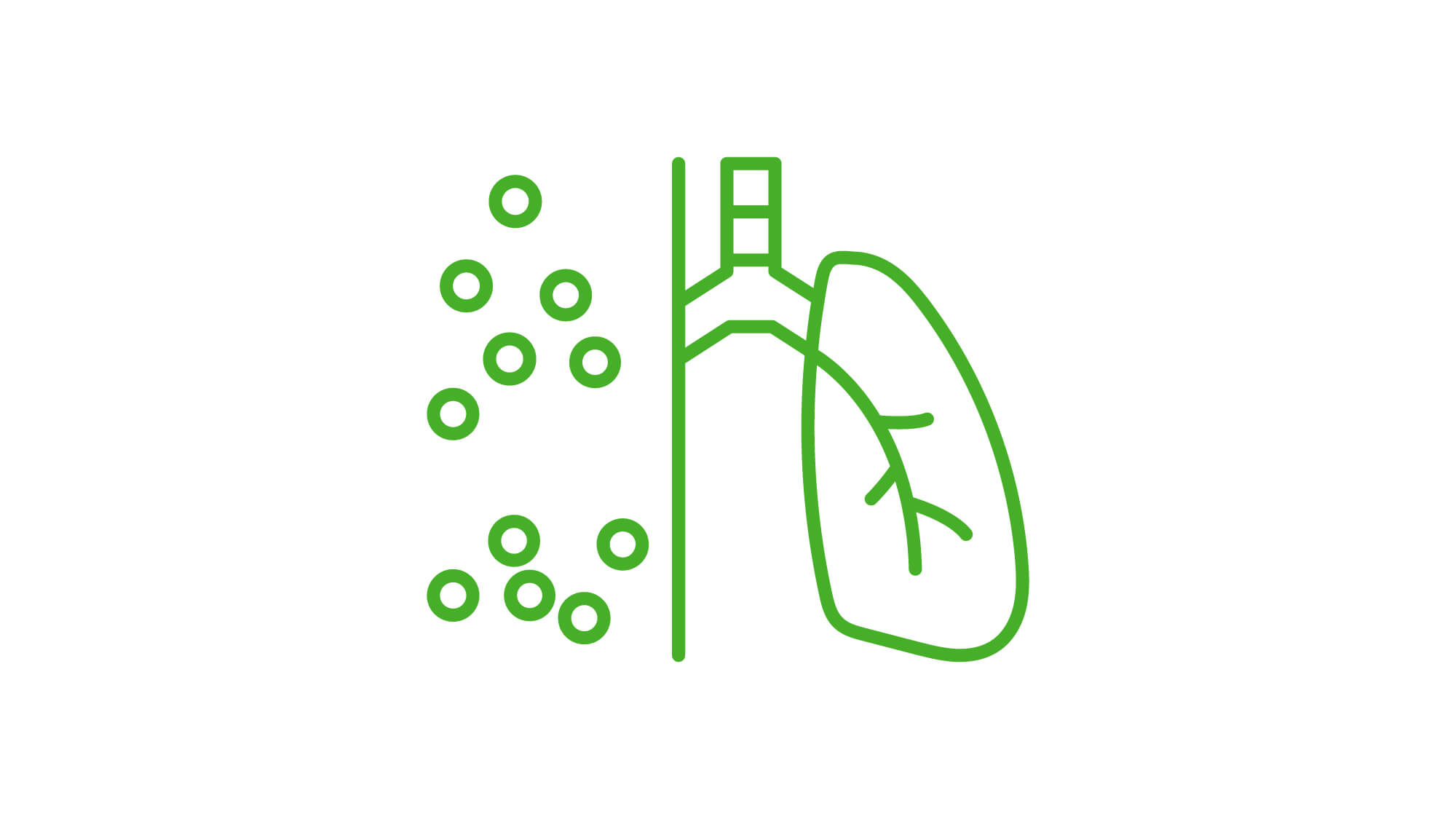 ABCs of particulate matter explained