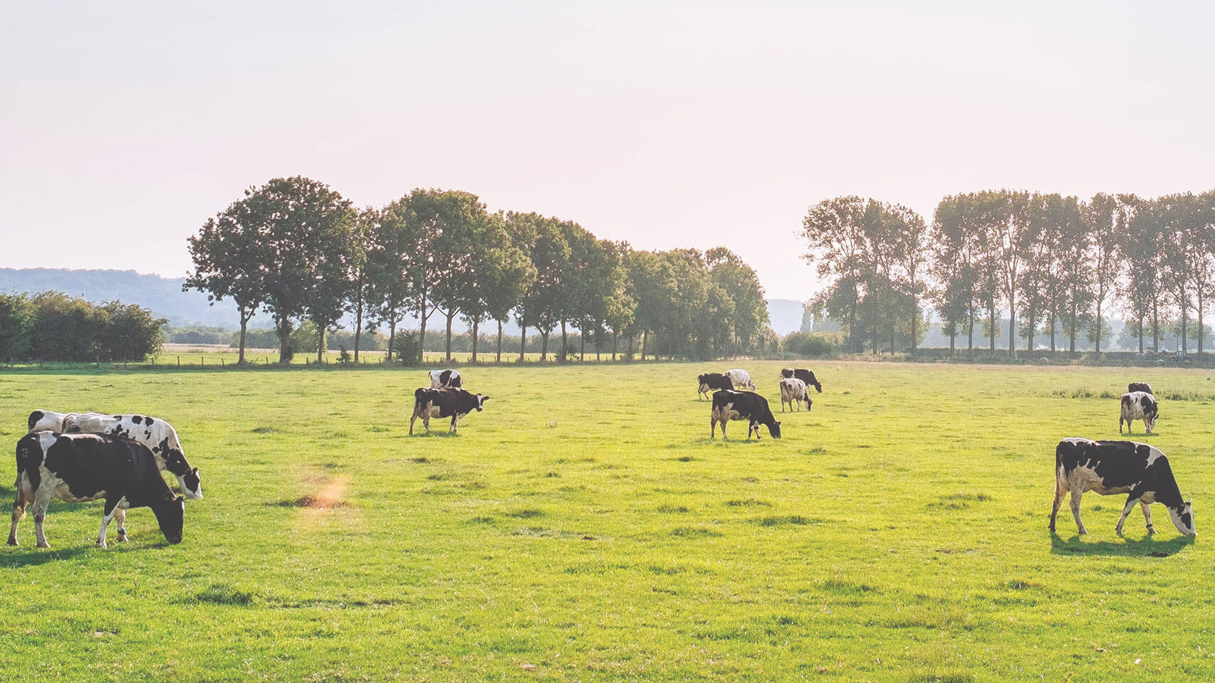 Best filters for food & beverage incl. membrane filters